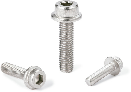 SFSS_Flanged Hex Socket Head Bolts|NBK | The Motion Control Components